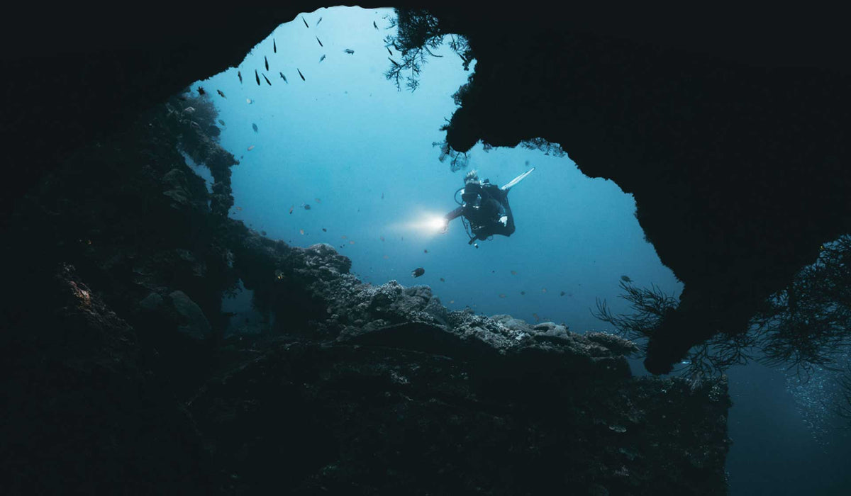 SHARKSKIN™ — Official Online Shop – Sharkskin Australia